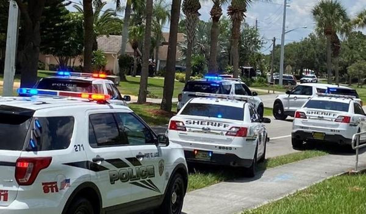 Homem de 82 anos mata pai e filha após briga judicial por cachorro na ...