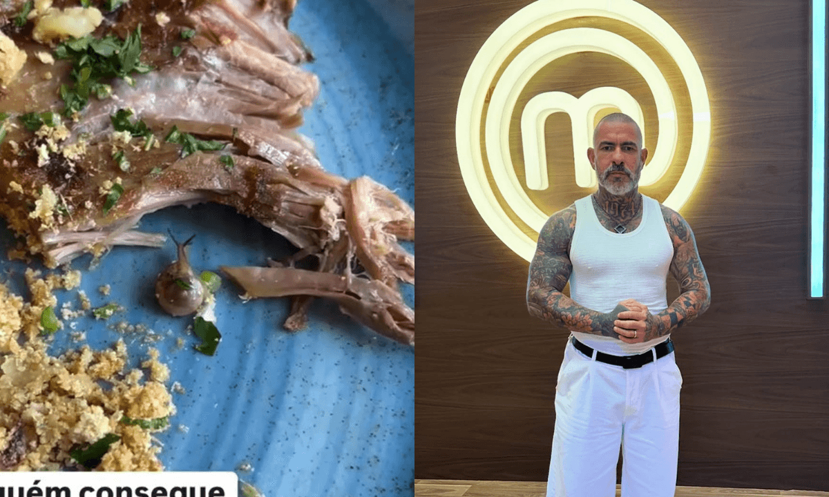 Caramujo vivo aparece em prato de restaurante de Fogaça